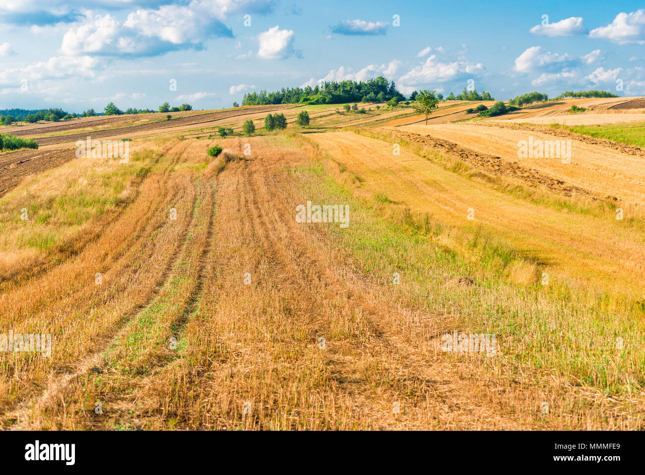 Empty field after harvest hi-res stock photography and images - Alamy