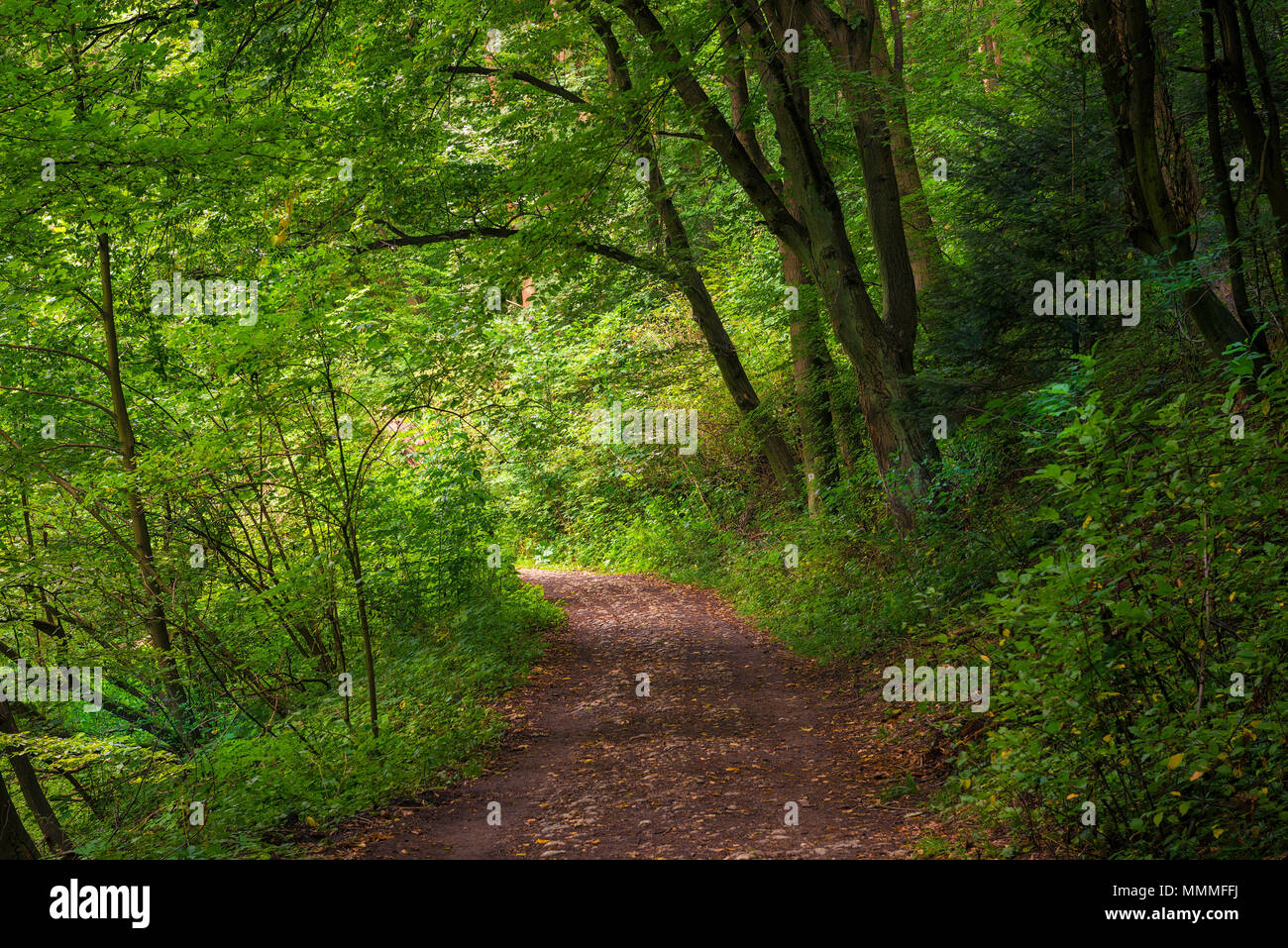 Beautiful Shady Park High Resolution Stock Photography and Images - Alamy