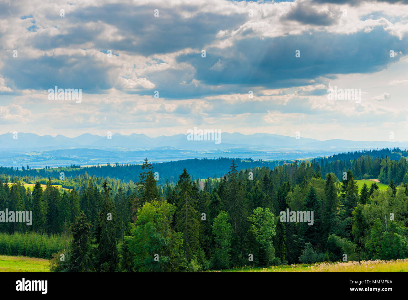 Beautiful Poland landscape on the horizon of the Tatra Mountains Stock ...
