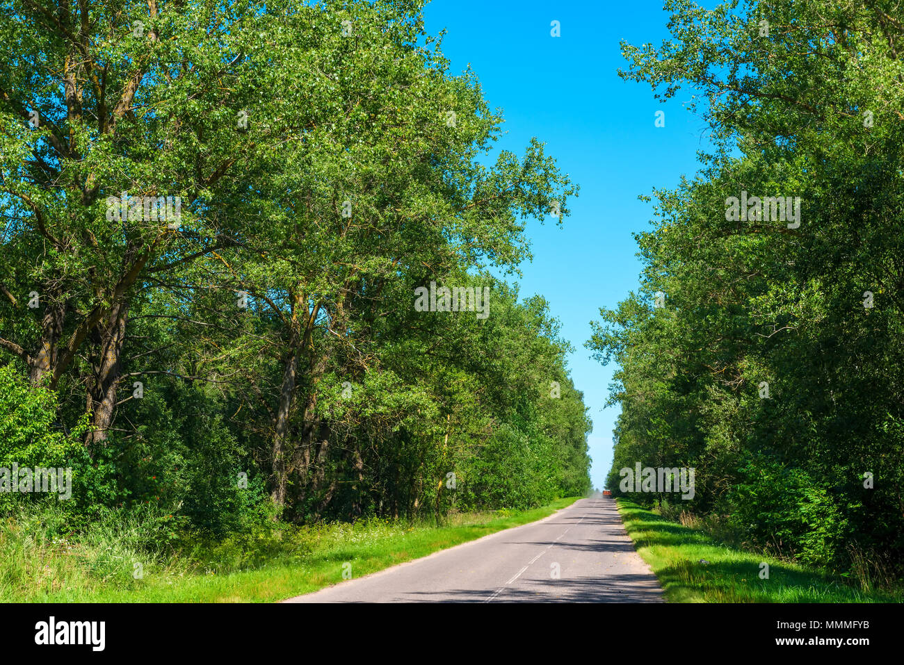 Road sunny roadside trees hi-res stock photography and images - Alamy