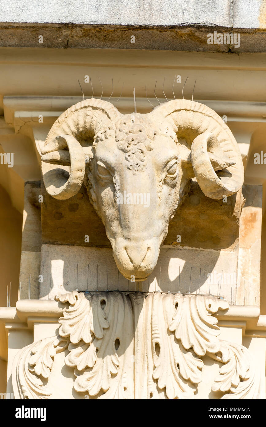 Architectural detail of a ram's head on the facade of a building, a ...