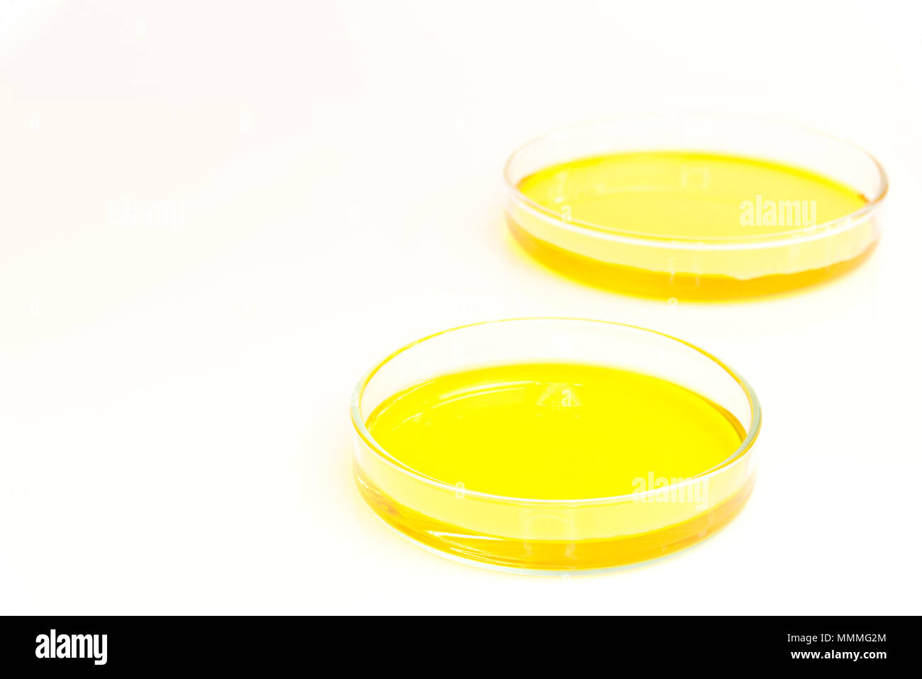 Petri dishes (petridishes) of potassium dichromate solution yellow ...