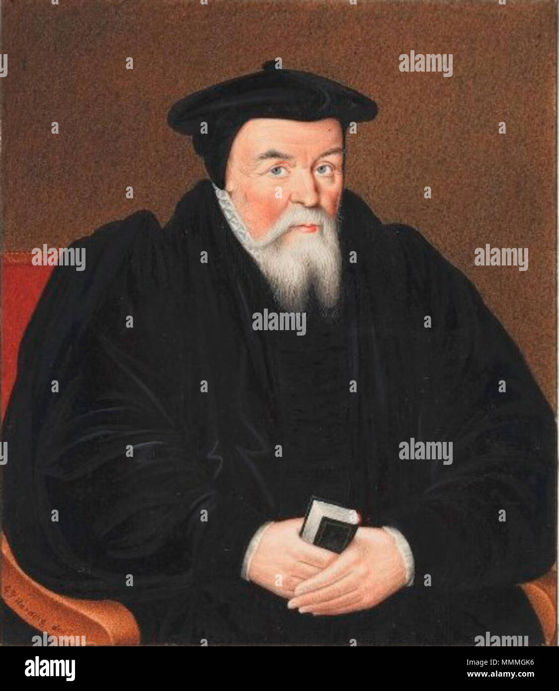 Worldcat hi-res stock photography and images - Alamy