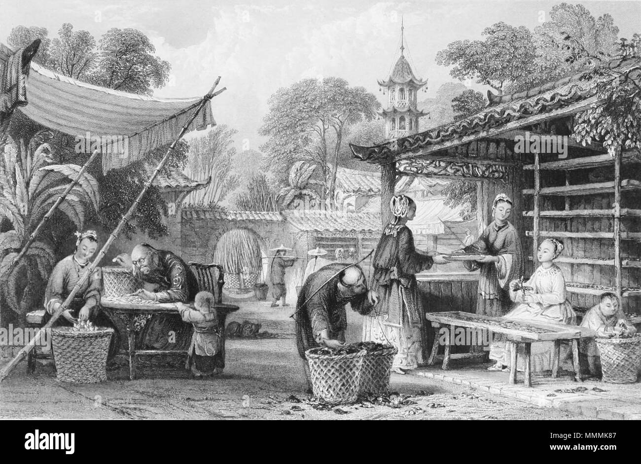 . English: Feeding silkworm and sorting the cocoons . 1843. Thomas ...