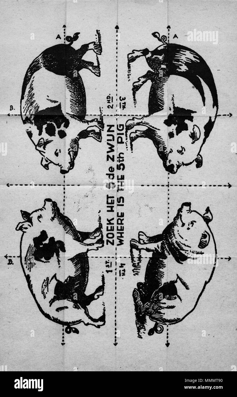. Zoek het 5de zwijn. Where is the 5th pig. Faltbilderrätsel ...