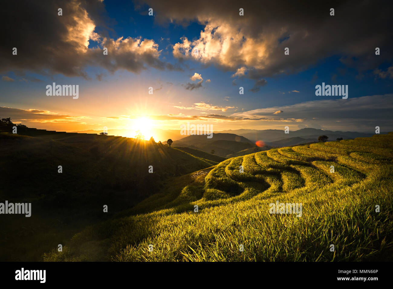 Terraced Rice Paddy Field in Mountain Stock Photo - Alamy