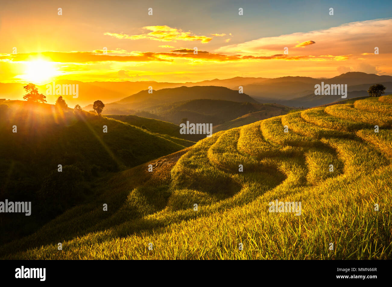 Terraced Rice Paddy Field in Mountain Stock Photo - Alamy