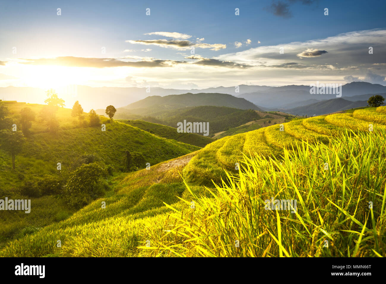 Terraced Rice Paddy Field in Mountain Stock Photo - Alamy