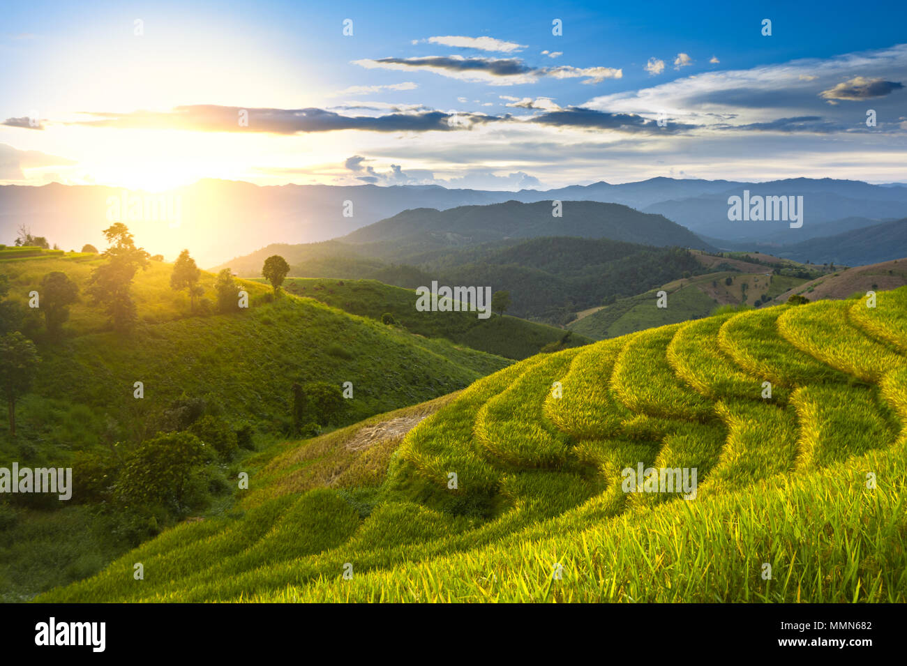 Terraced Rice Paddy Field in Mountain Stock Photo - Alamy