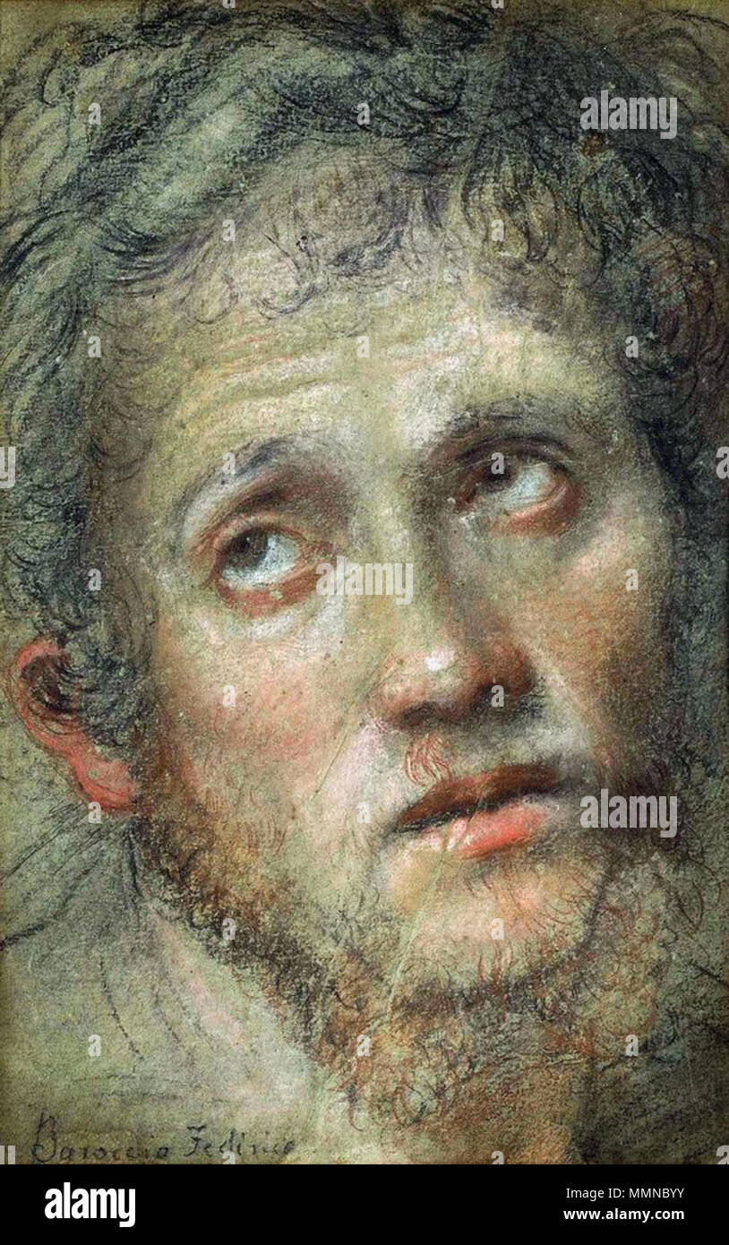 Head of a young man.. after 1550. Barocci Head of a young man Stock ...