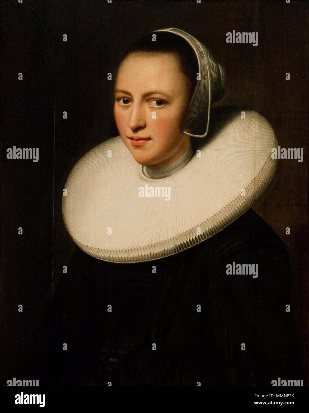 Ruff collar hi-res stock photography and images - Alamy