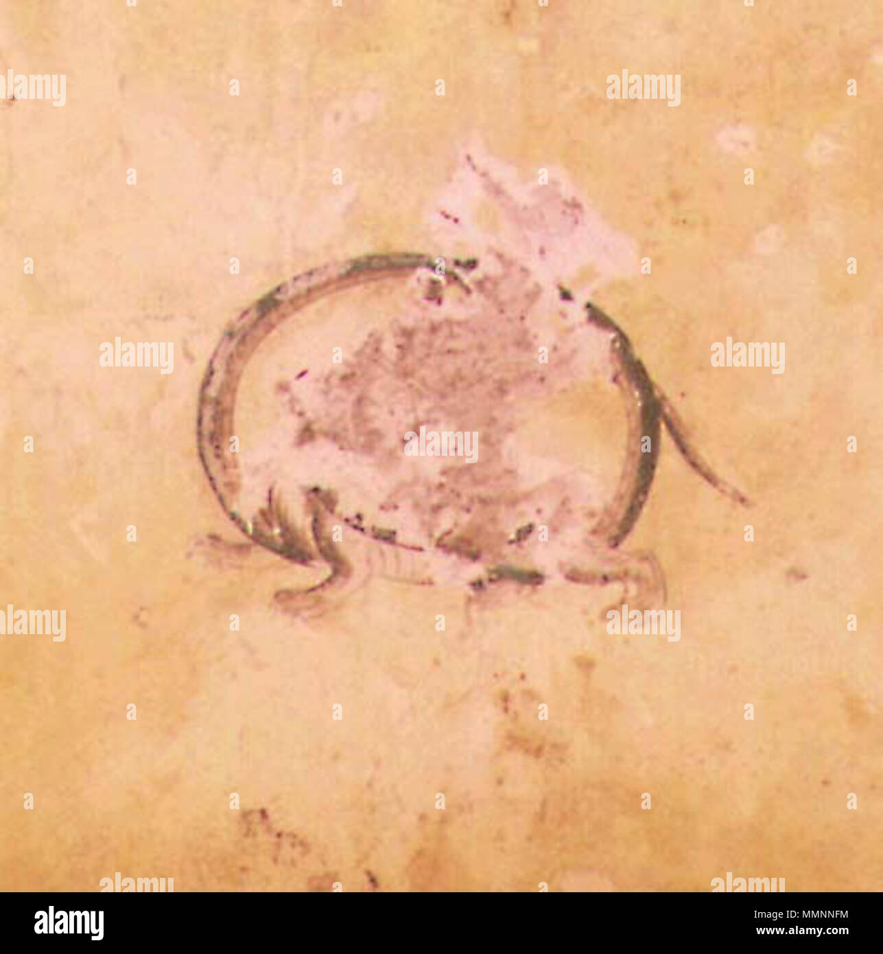 Genbu do hi-res stock photography and images - Alamy