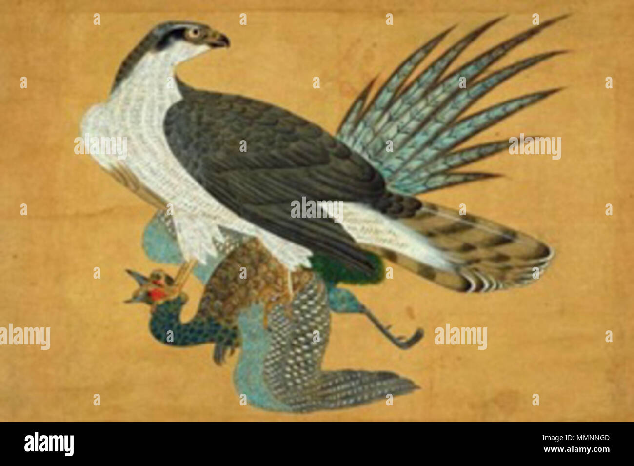 Late 16th 17th century hi-res stock photography and images - Alamy