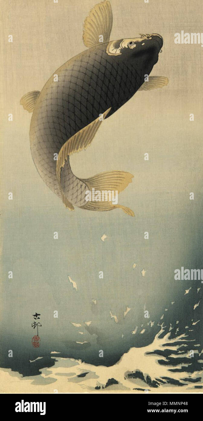 Carp leaping hi-res stock photography and images - Alamy