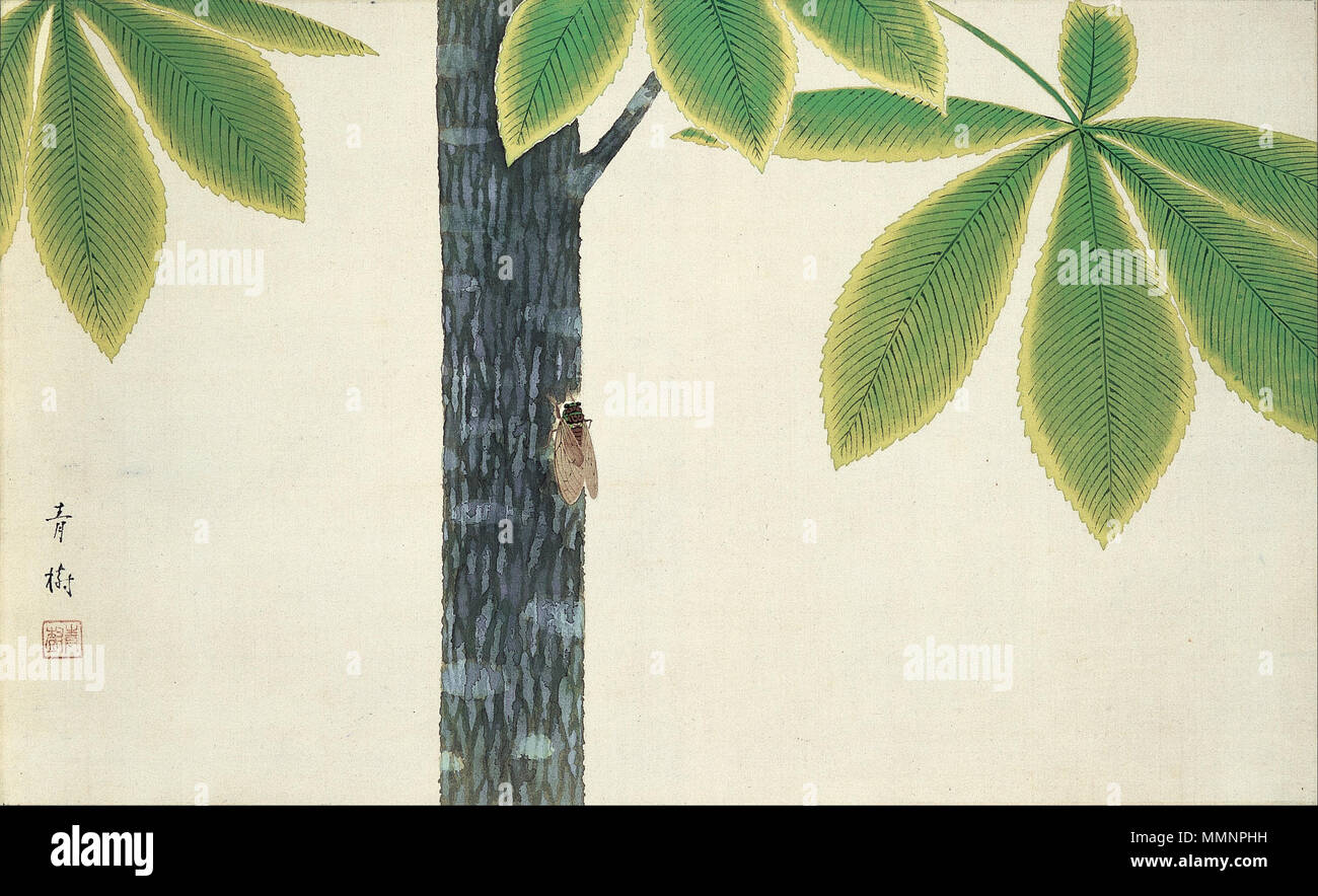Omoda Seiju - Cicada - Google Art Project Stock Photo - Alamy