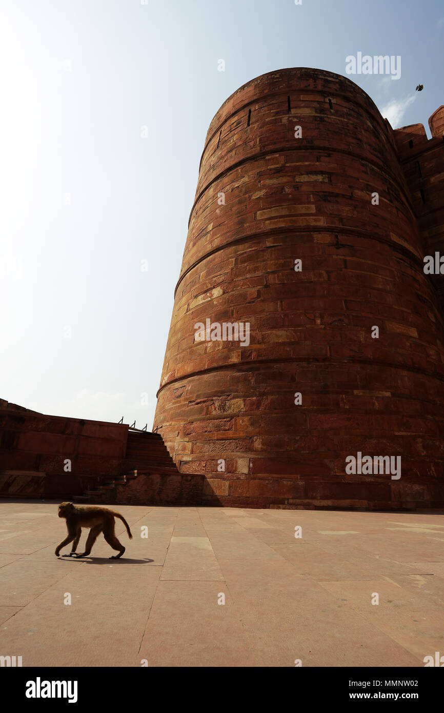 Buildings in India Stock Photo - Alamy