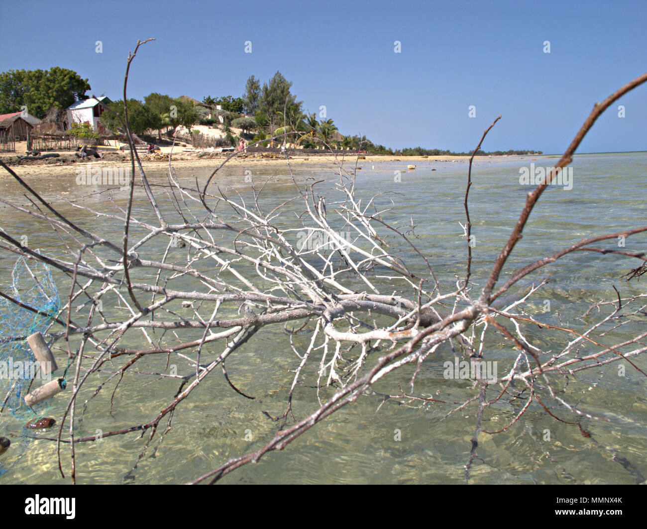 Ifaty, near Tulear, Madagascar Stock Photo - Alamy