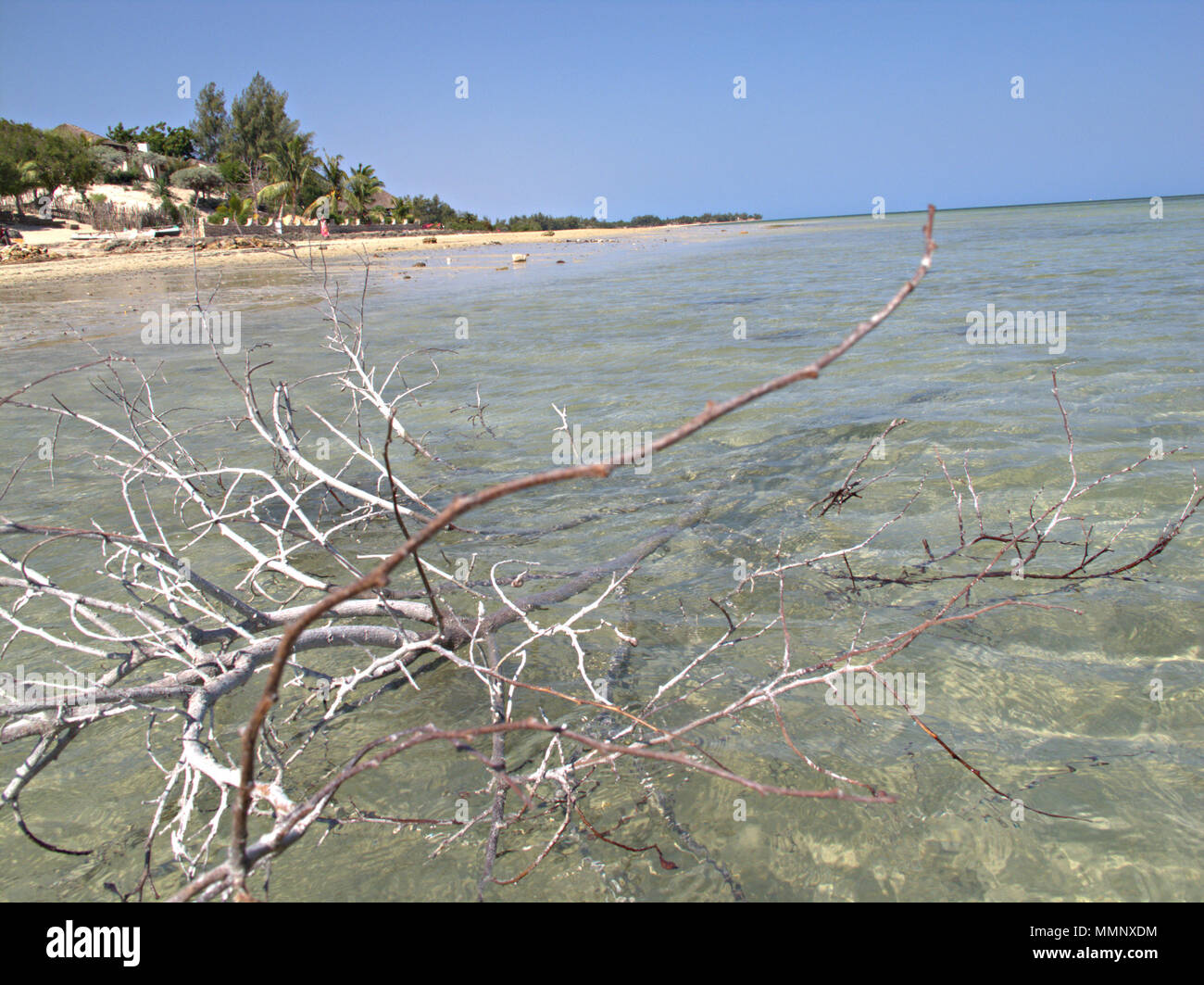 Ifaty, near Tulear, Madagascar Stock Photo - Alamy
