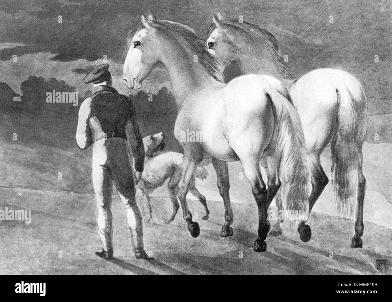 Dog horse stable Black and White Stock Photos & Images - Alamy