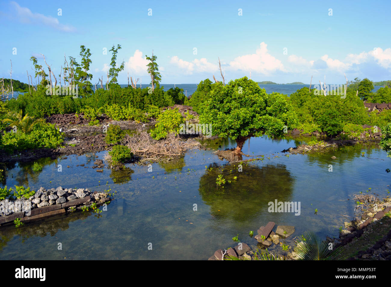 Nan Madol Archaeological site, Pohnpei, Federated States of Micronesia ...