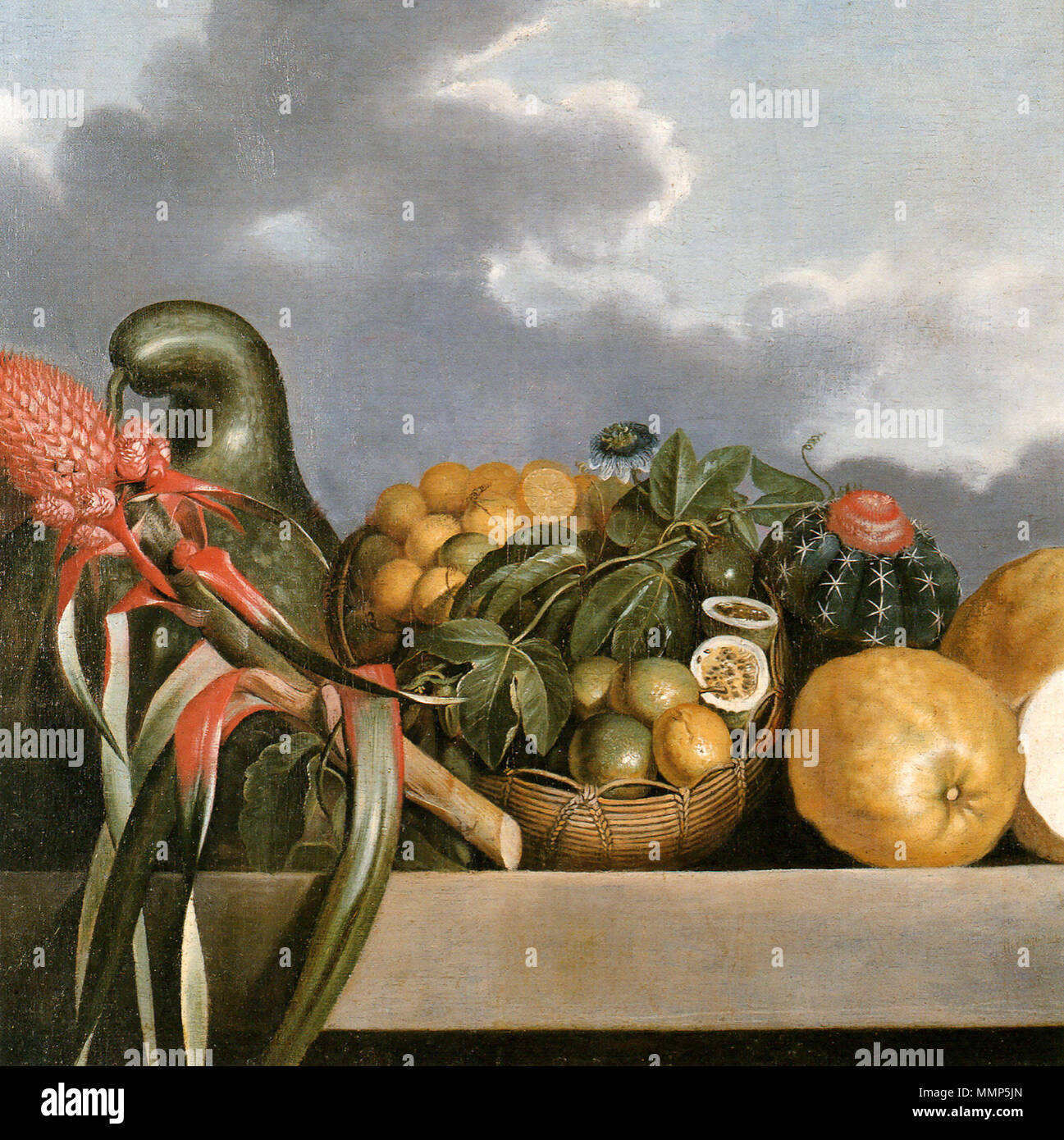 Albert Eckhout - Cabaça, Frutas Cítricas e Cacto Stock Photo - Alamy