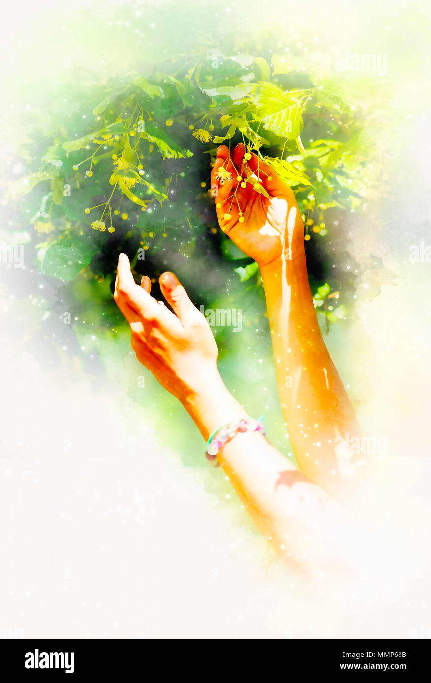 gentle prayer to a beautiful linden tree on bright midsummer day and ...