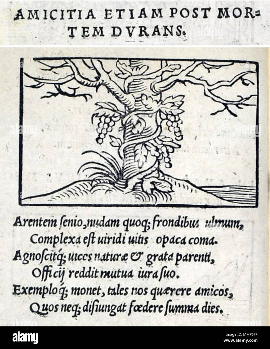 Emblematum hi-res stock photography and images - Alamy