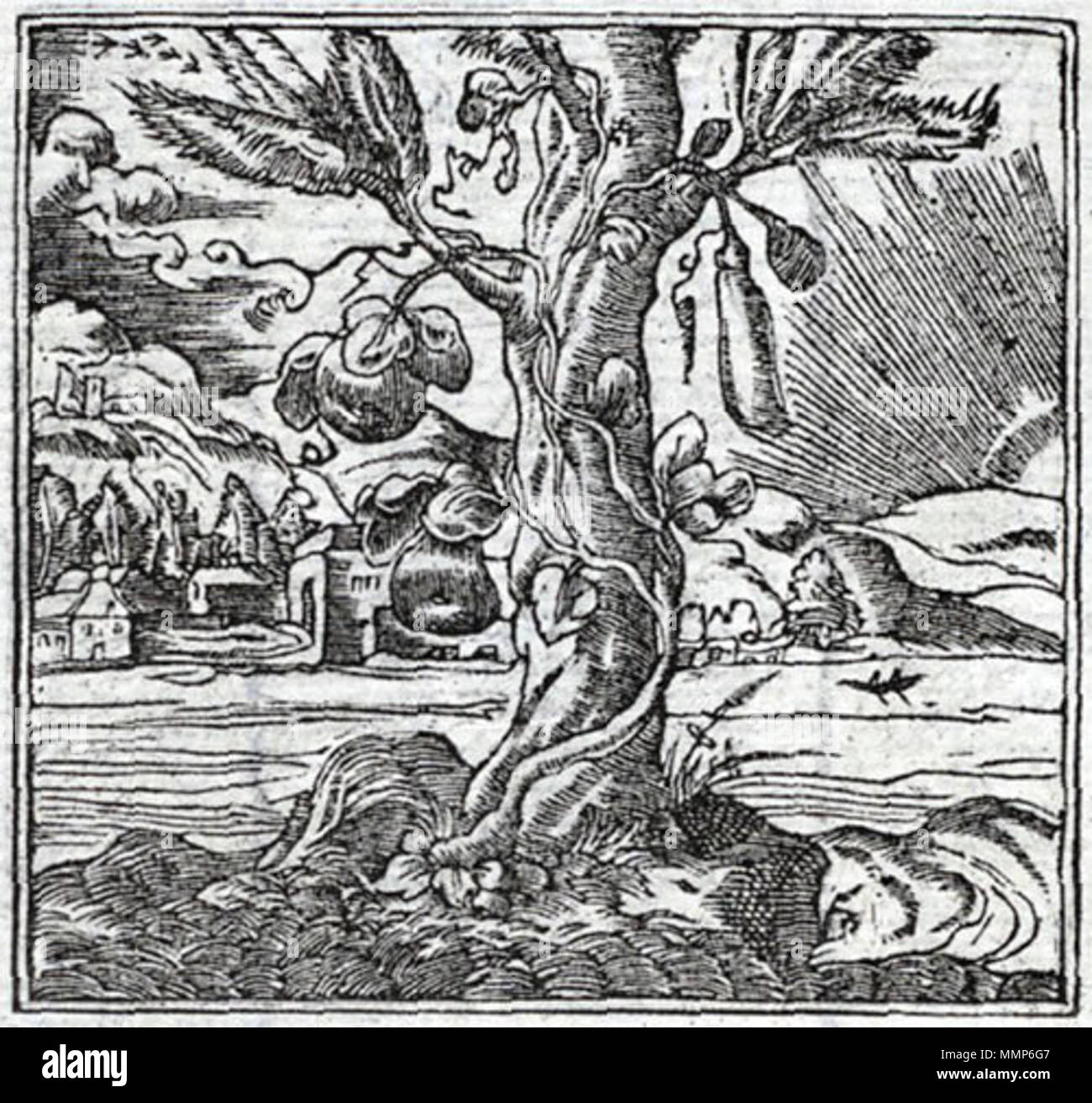 . English: The fable of 'The Gourd and the Palm' from Andrea Alciato's ...