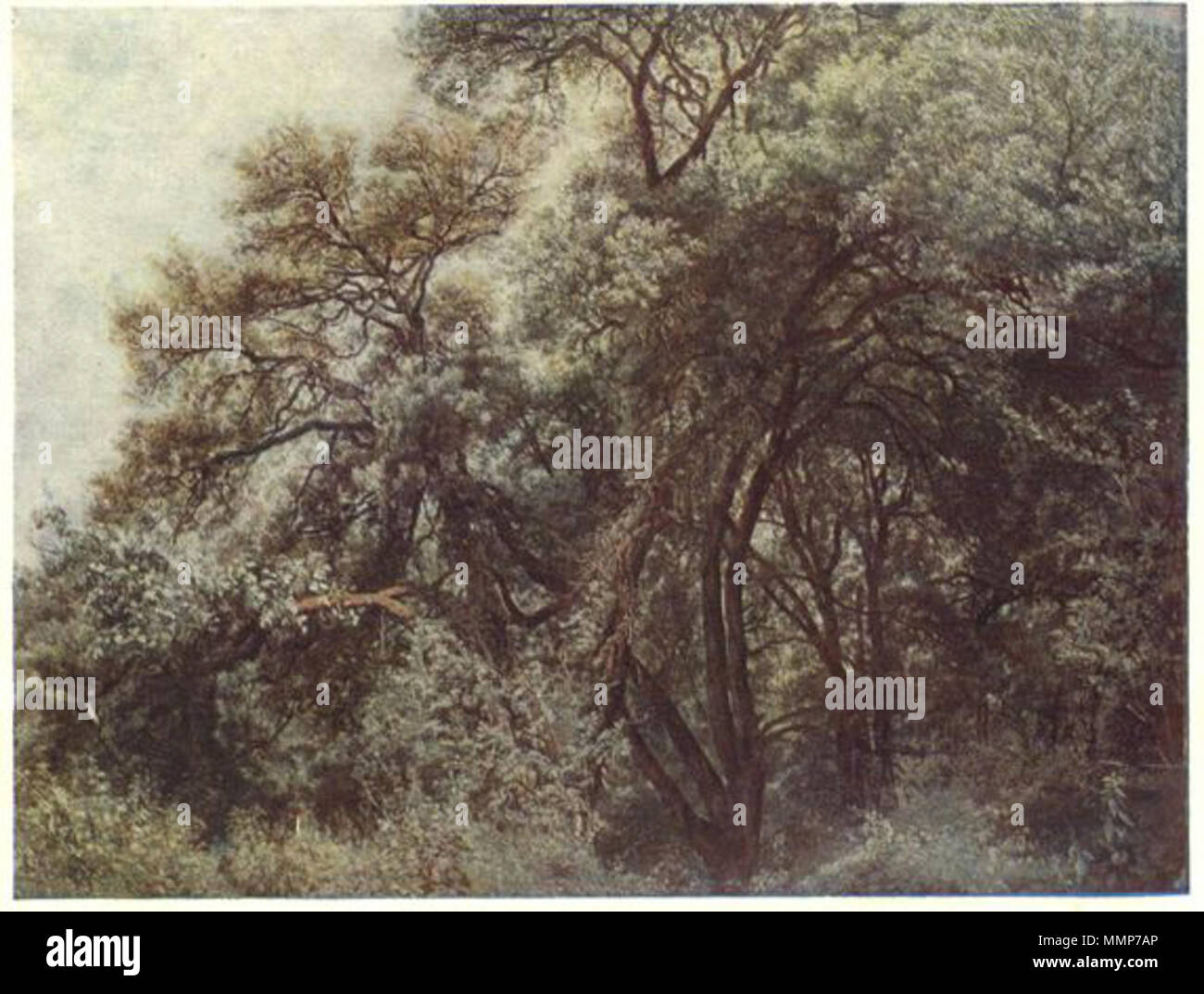 Alexander andreyevich ivanov hi-res stock photography and images - Alamy