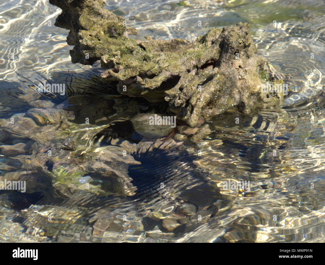 Rock in Nosy Ve island near Anakao, Madagascar, Africa Stock Photo - Alamy