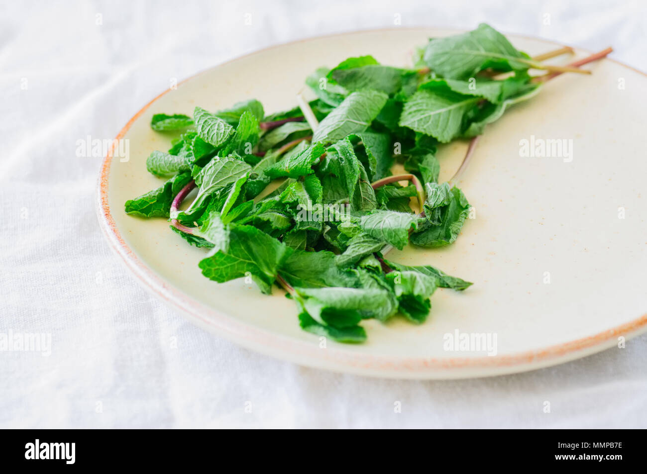 Bunch of fresh leaves of mint in a plate. White background. Rustic ...