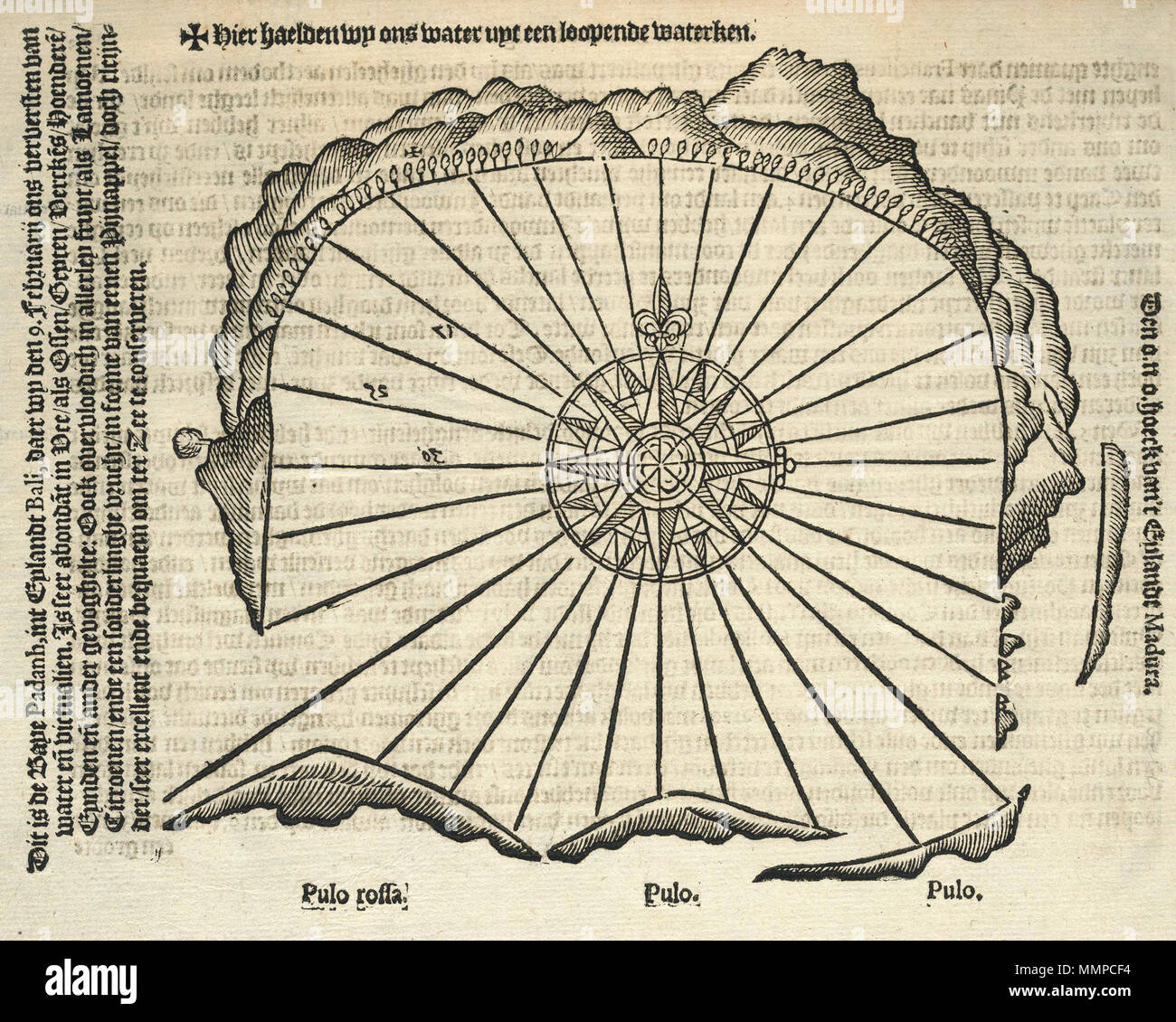 Pijnappel hi-res stock photography and images - Alamy