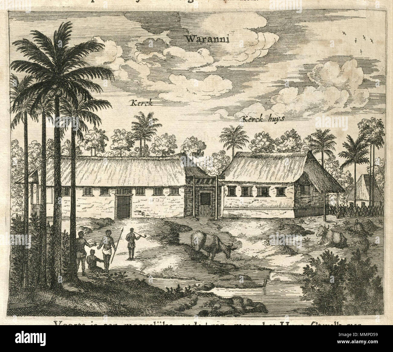 Baldaeus philippus hi-res stock photography and images - Alamy