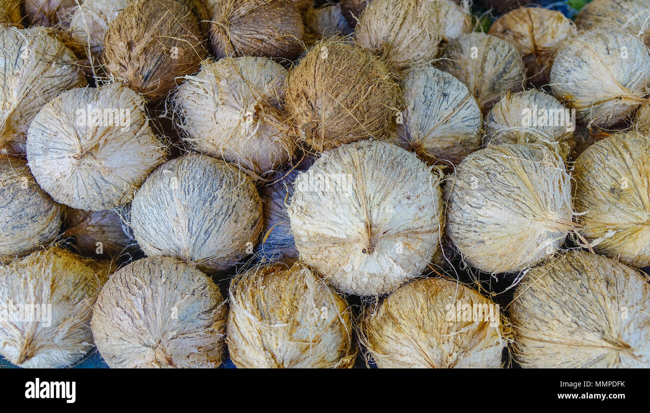 Selling coconut fruits at rural market in Mahebourg, Mauritius Stock ...