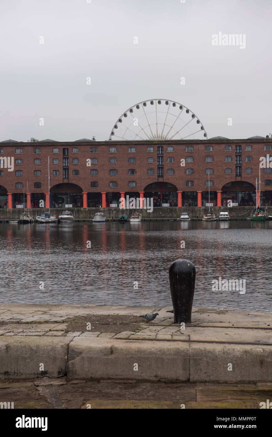 The Liverpool Wheel behind the Albert Dock Stock Photo - Alamy
