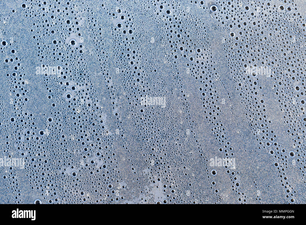 Background of the condensate drops on the film is polyethylene. Water ...