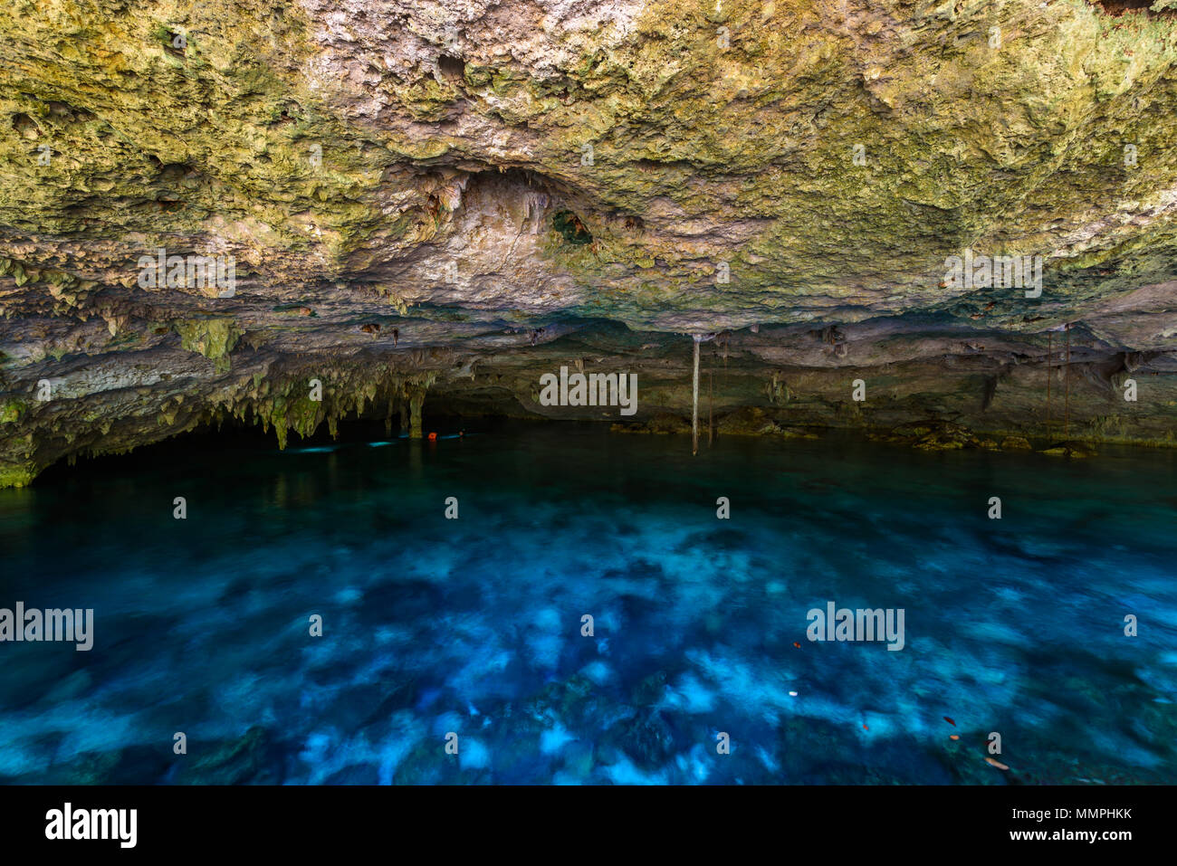 Cenote Dos Ojos in Quintana Roo, Mexico. People swimming and snorkeling ...