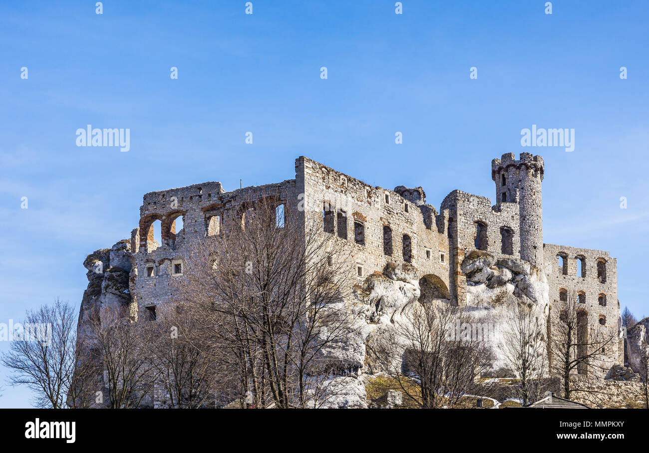 Outside view of Ogrodzieniec medieval castle in Poland Stock Photo - Alamy