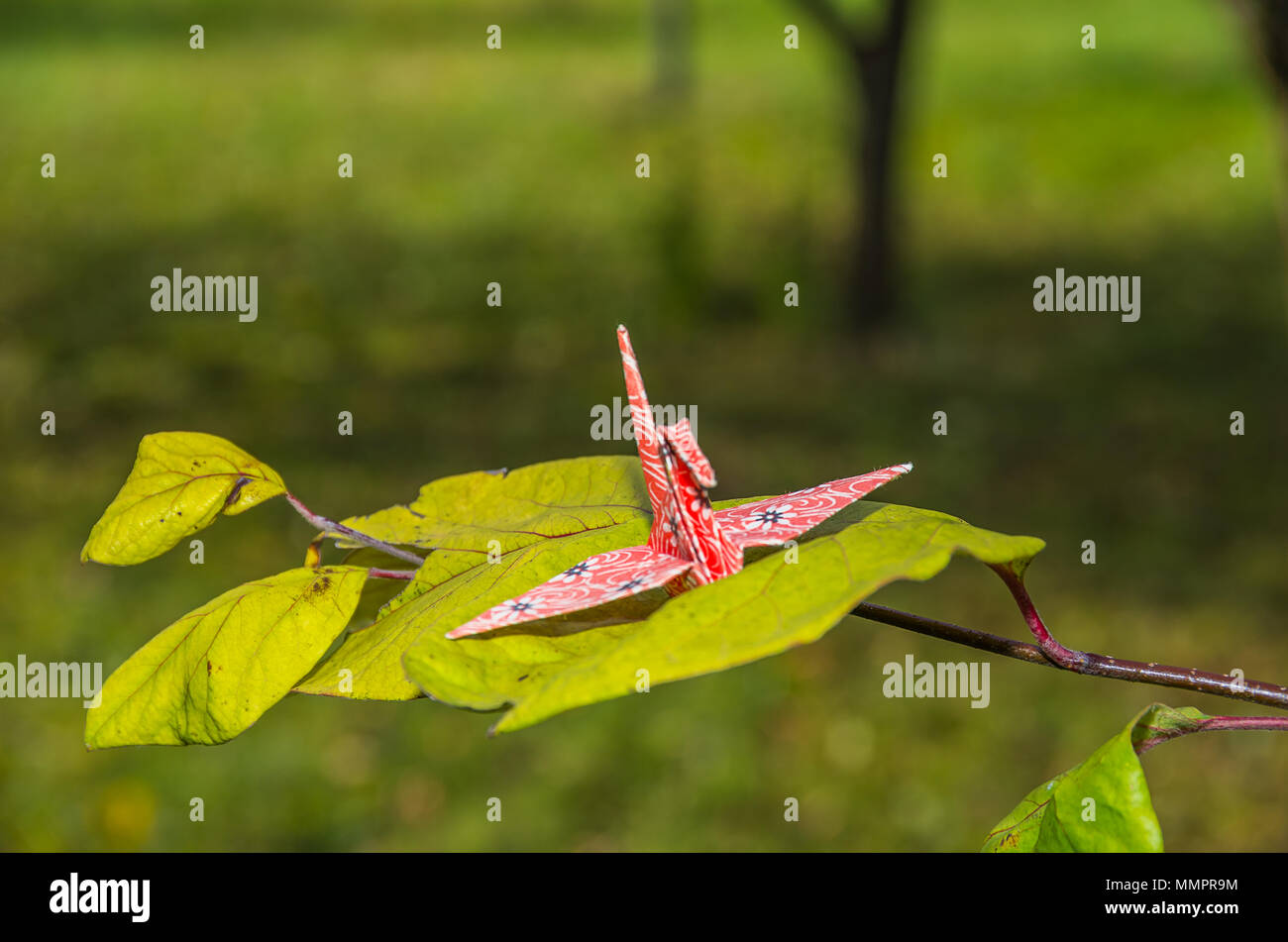 Origami paper crane made of original Japanese origami paper set up in a ...