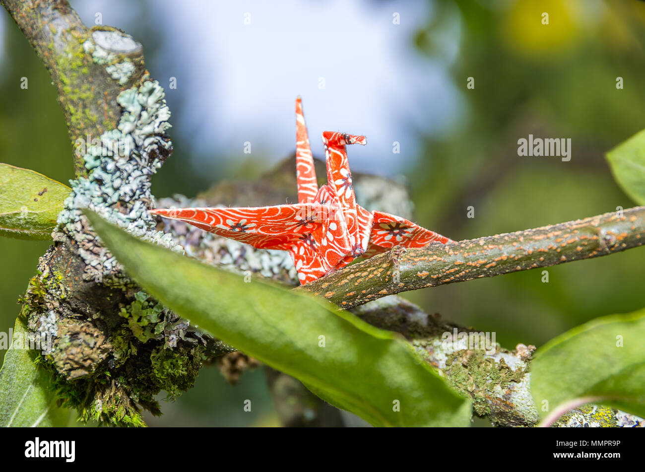 Origami paper crane made of original Japanese origami paper set up in a ...