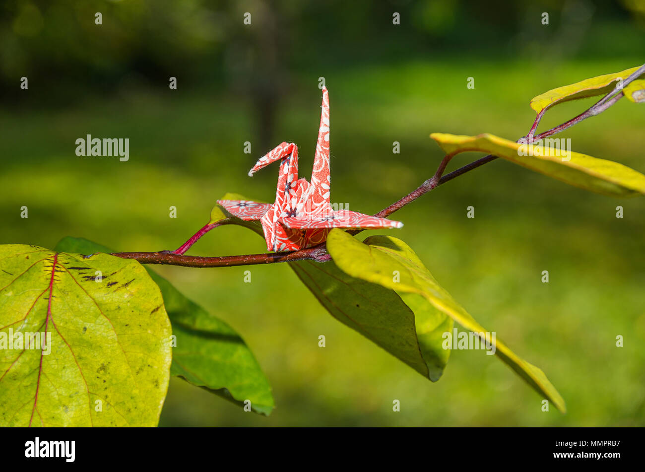 Origami paper crane made of original Japanese origami paper set up in a ...