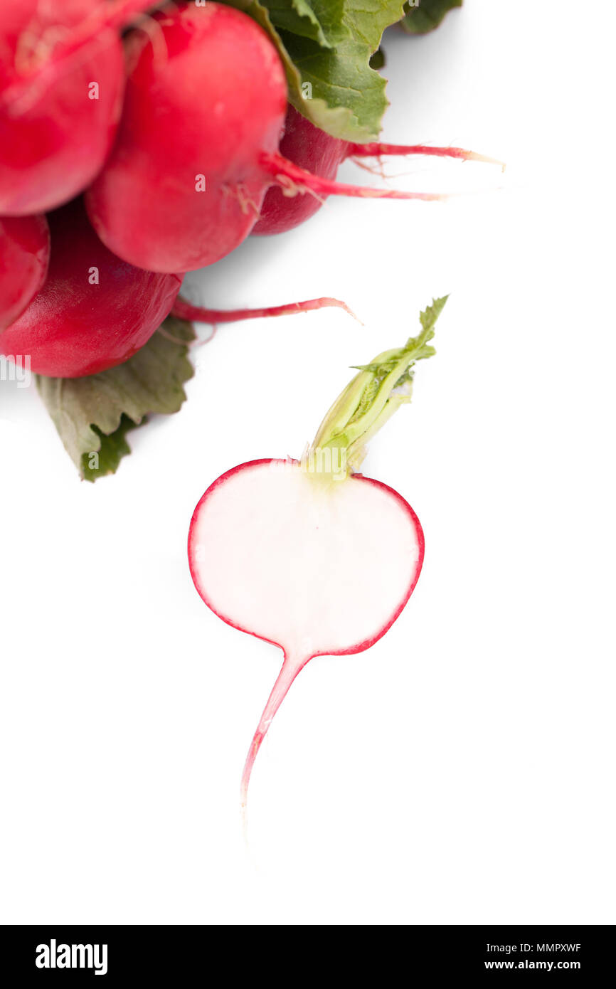 Radish on a white background Stock Photo - Alamy