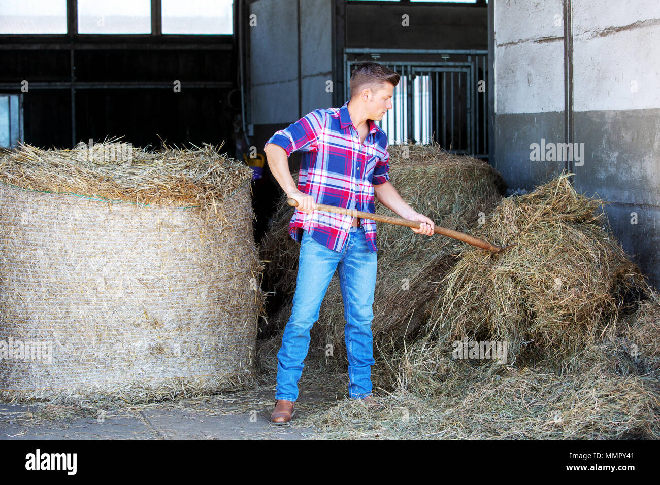 Handsome young man outside barn hi-res stock photography and images - Alamy