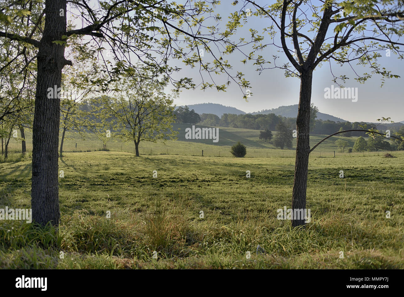 an expansive rural yard with trees pasture and mountain view Stock ...