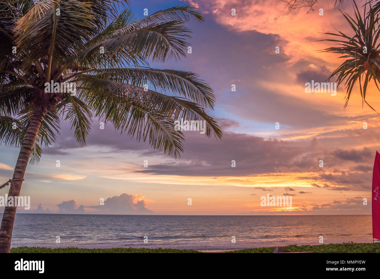 Green’s palm beach hi-res stock photography and images - Alamy