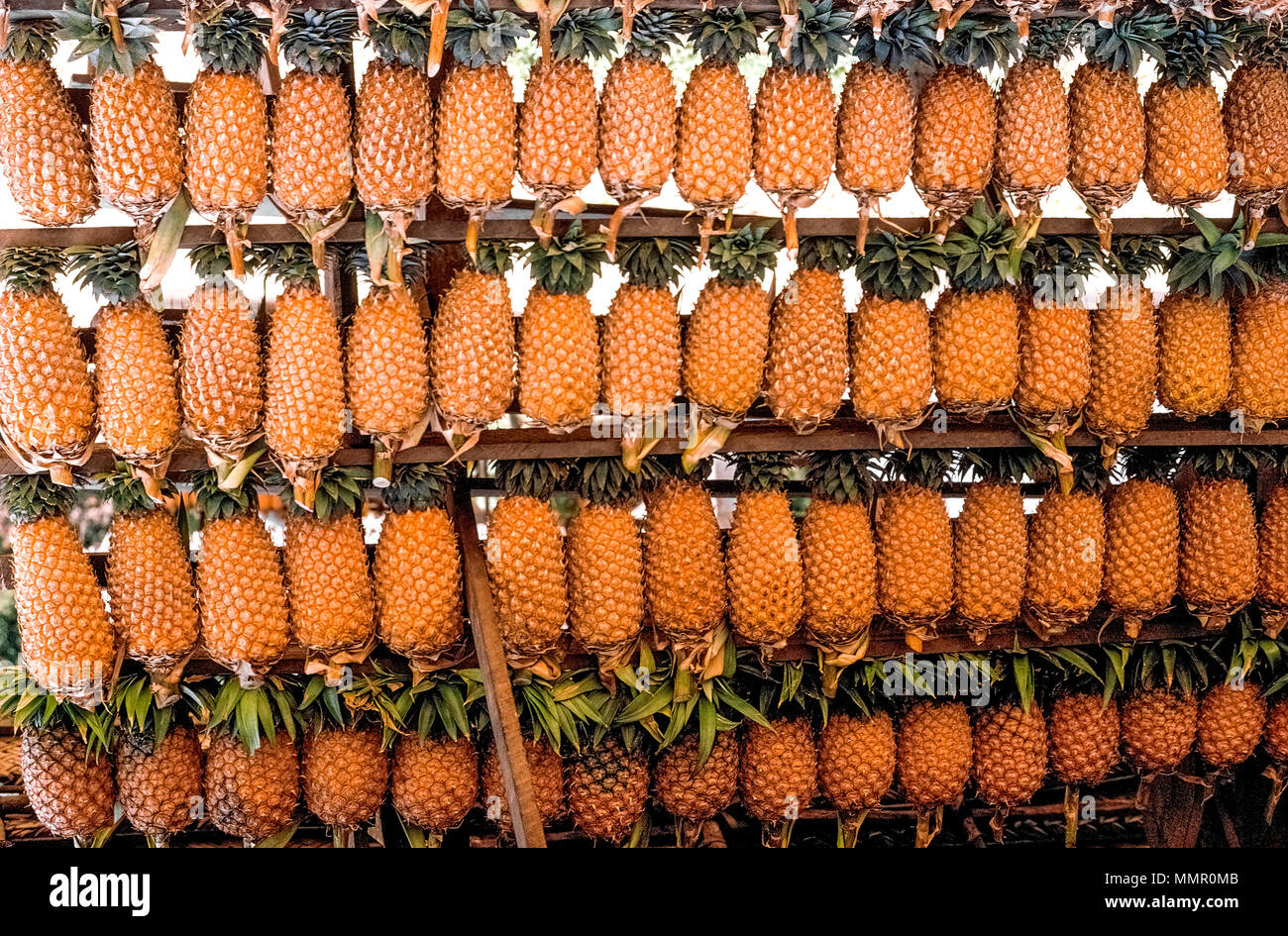 Annasi hi-res stock photography and images - Alamy