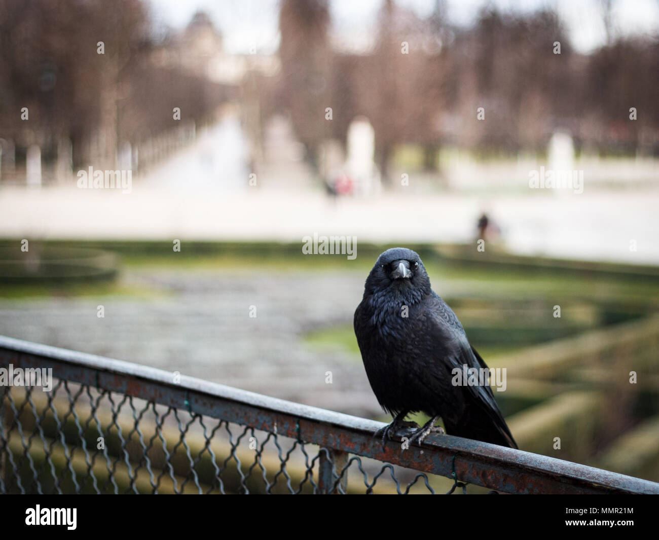 Blur background paris france hi-res stock photography and images - Alamy