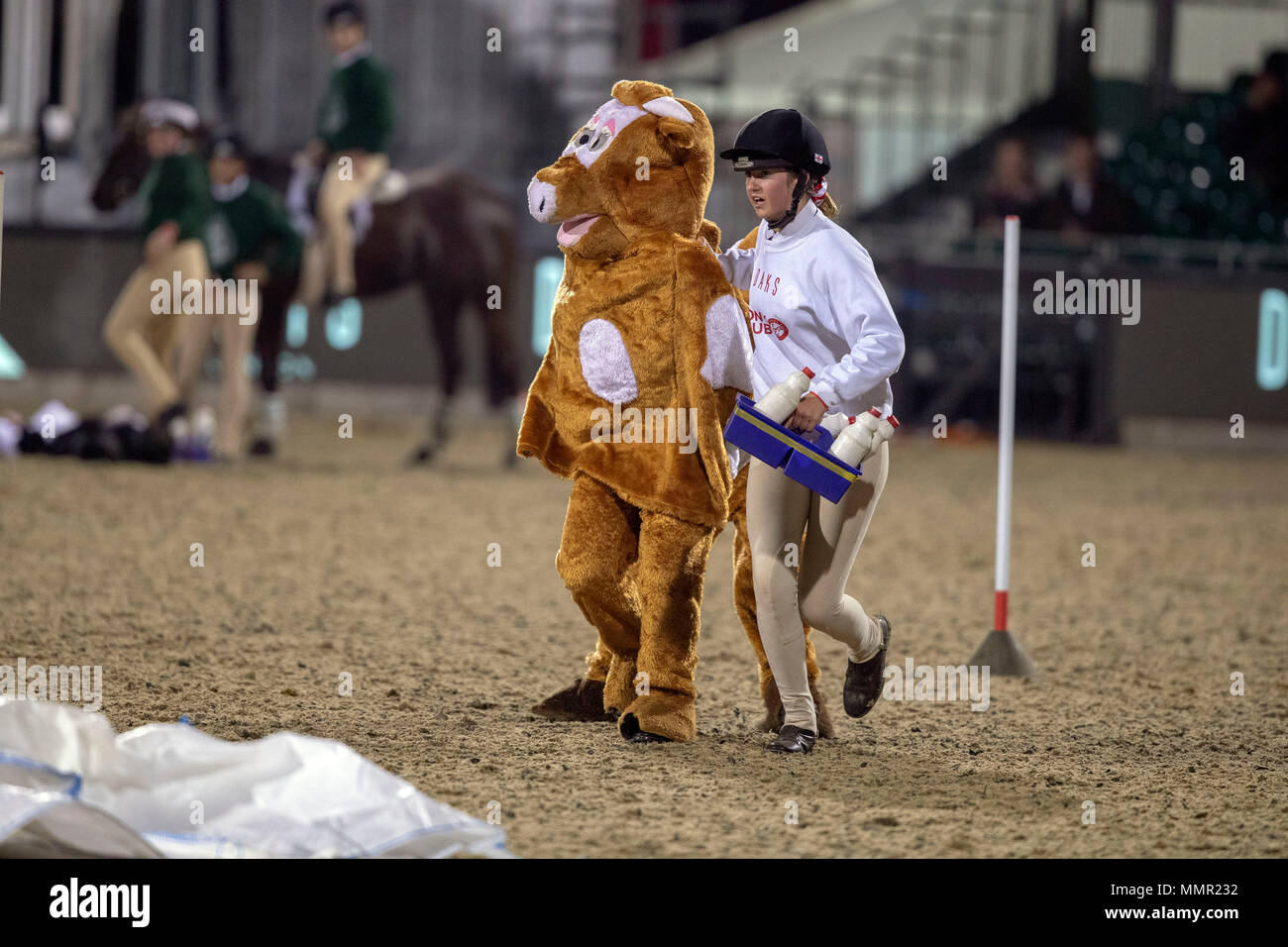 Members of team England compete in the DAKS Pony Club Mounted Games ...
