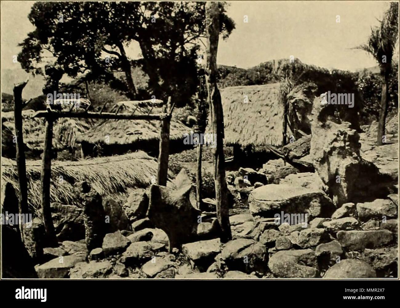 "The Philippine journal of science" (1906 Stock Photo - Alamy