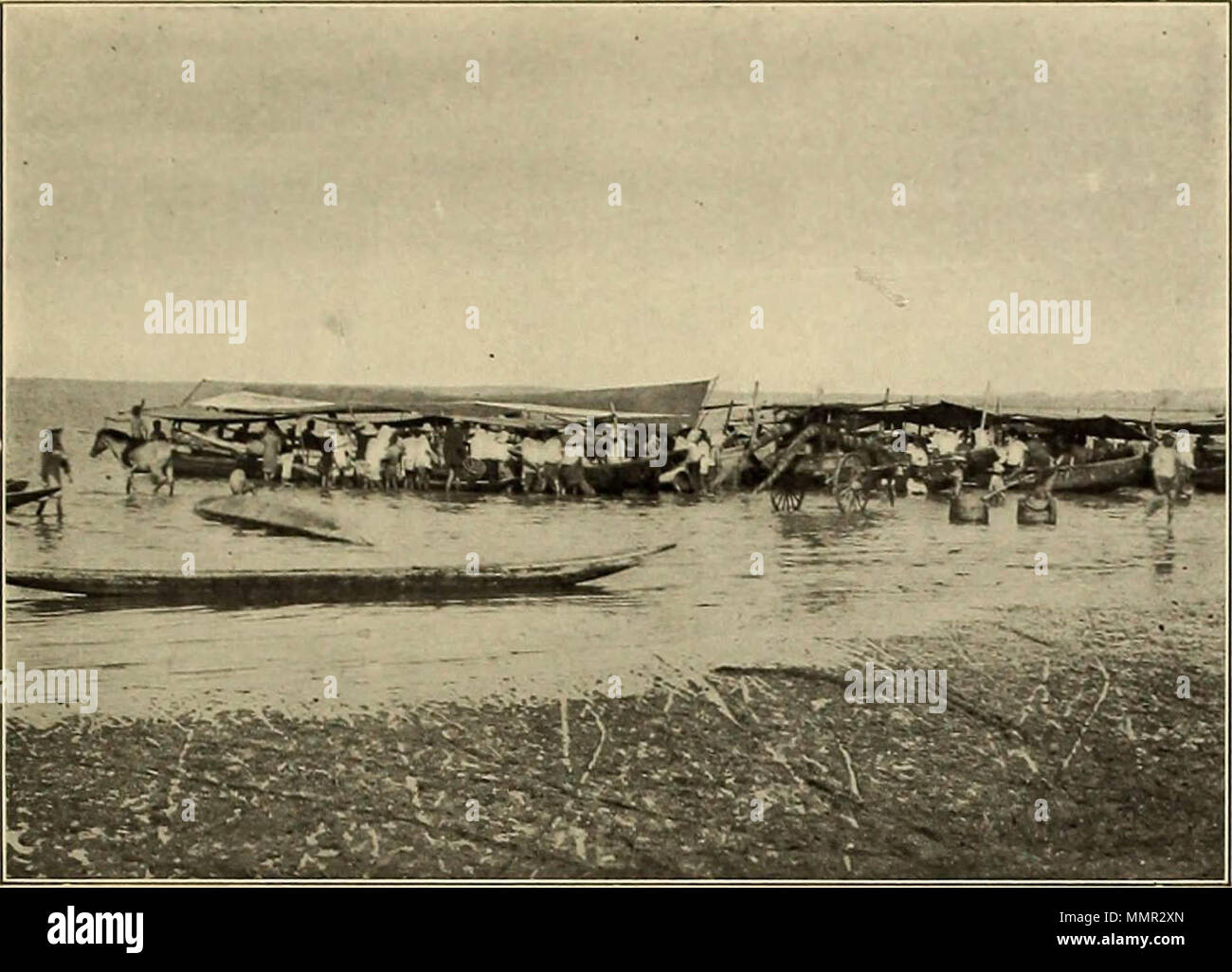 "The Philippine journal of science" (1906 Stock Photo - Alamy